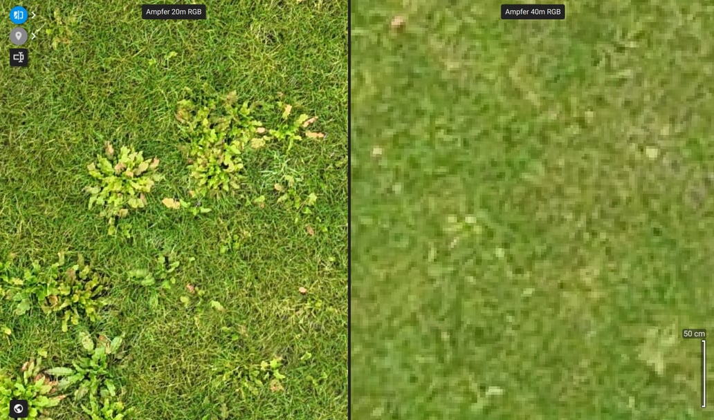 Pasture weeds detection (Green on Green) - PIX4Dfields