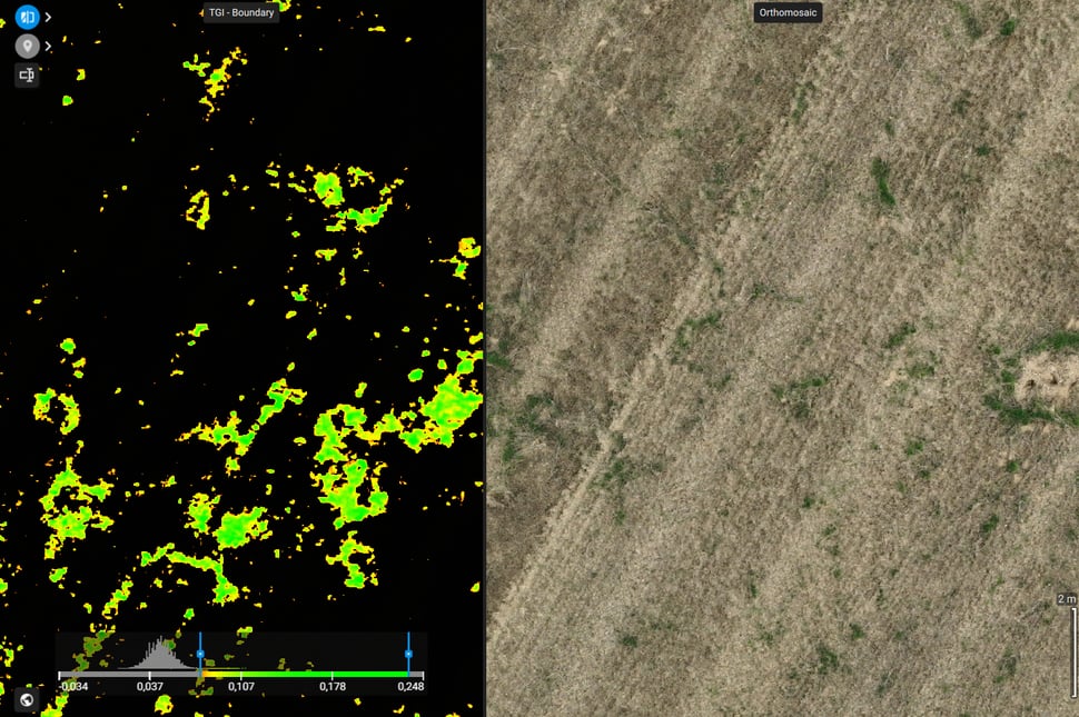 Weed detection best practices - PIX4Dfields