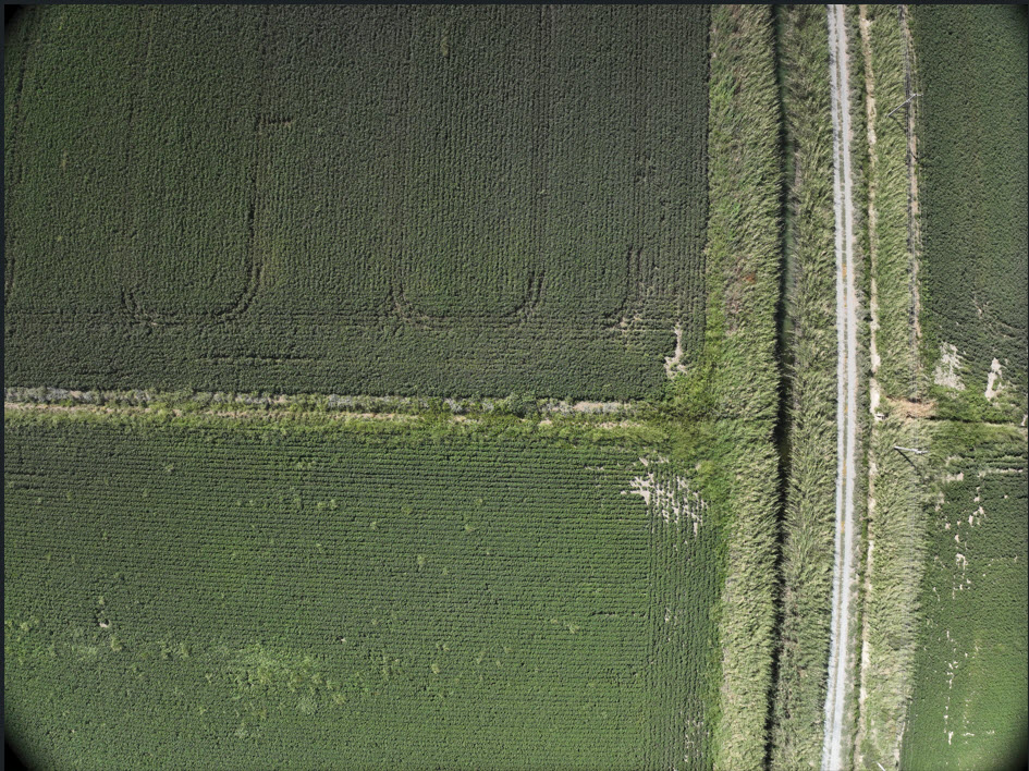 How to fly and process the DJI Mavic 3 Multispectral (M3M) in PIX4Dfields