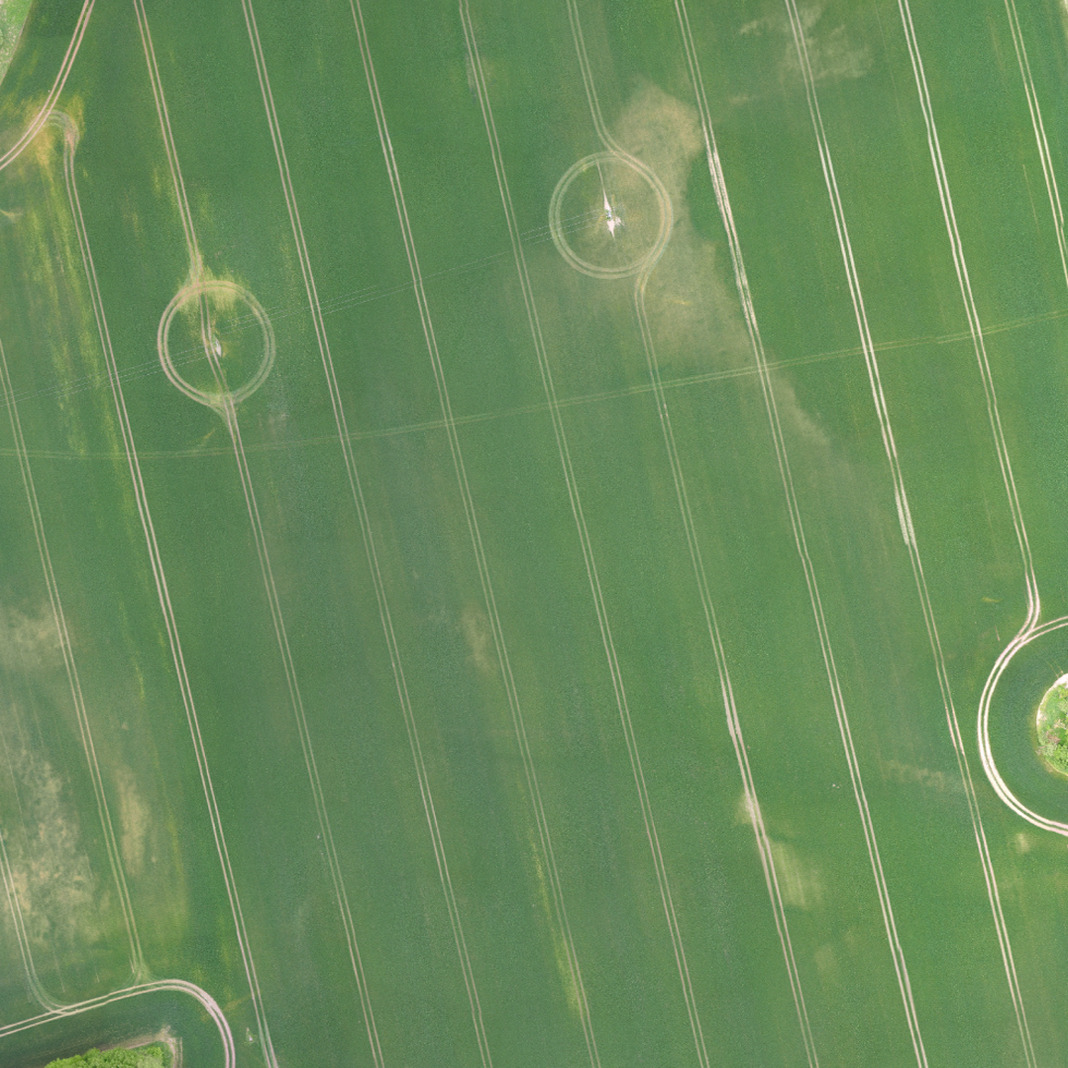 Example use cases - PIX4Dfields