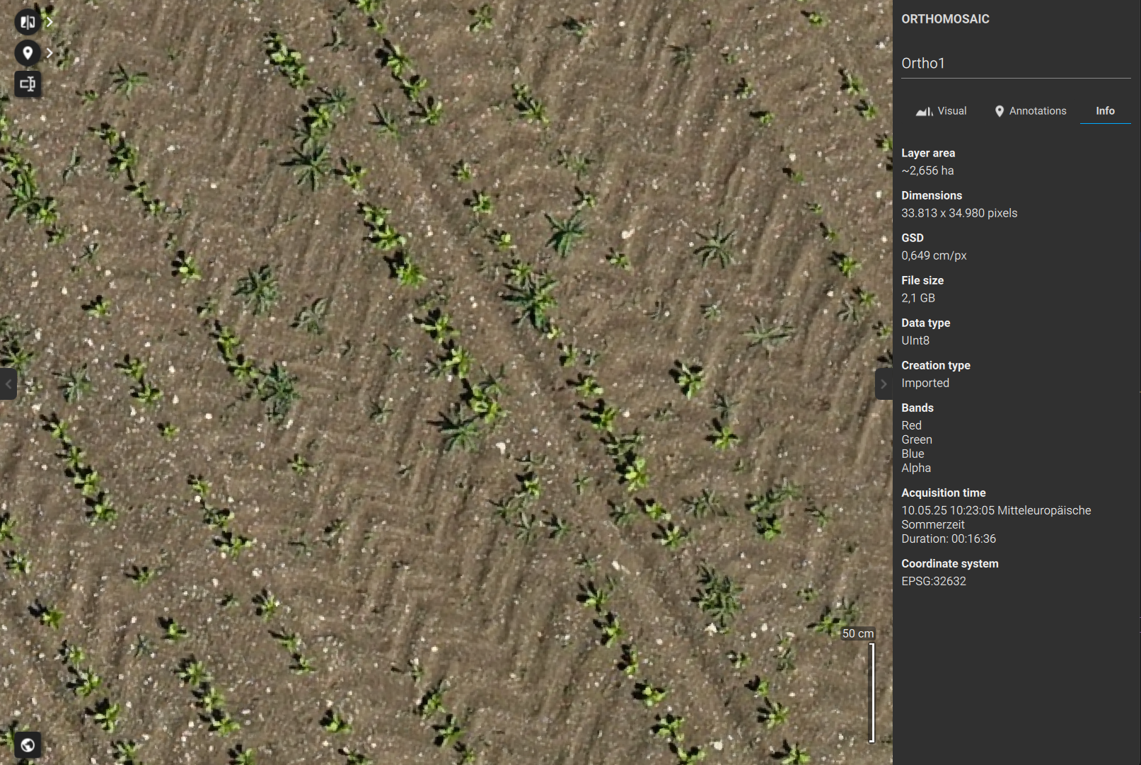Weed detection best practices - PIX4Dfields