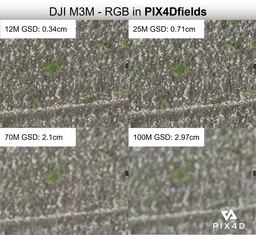 How to fly and process the DJI Mavic 3 Multispectral (M3M) in PIX4Dfields